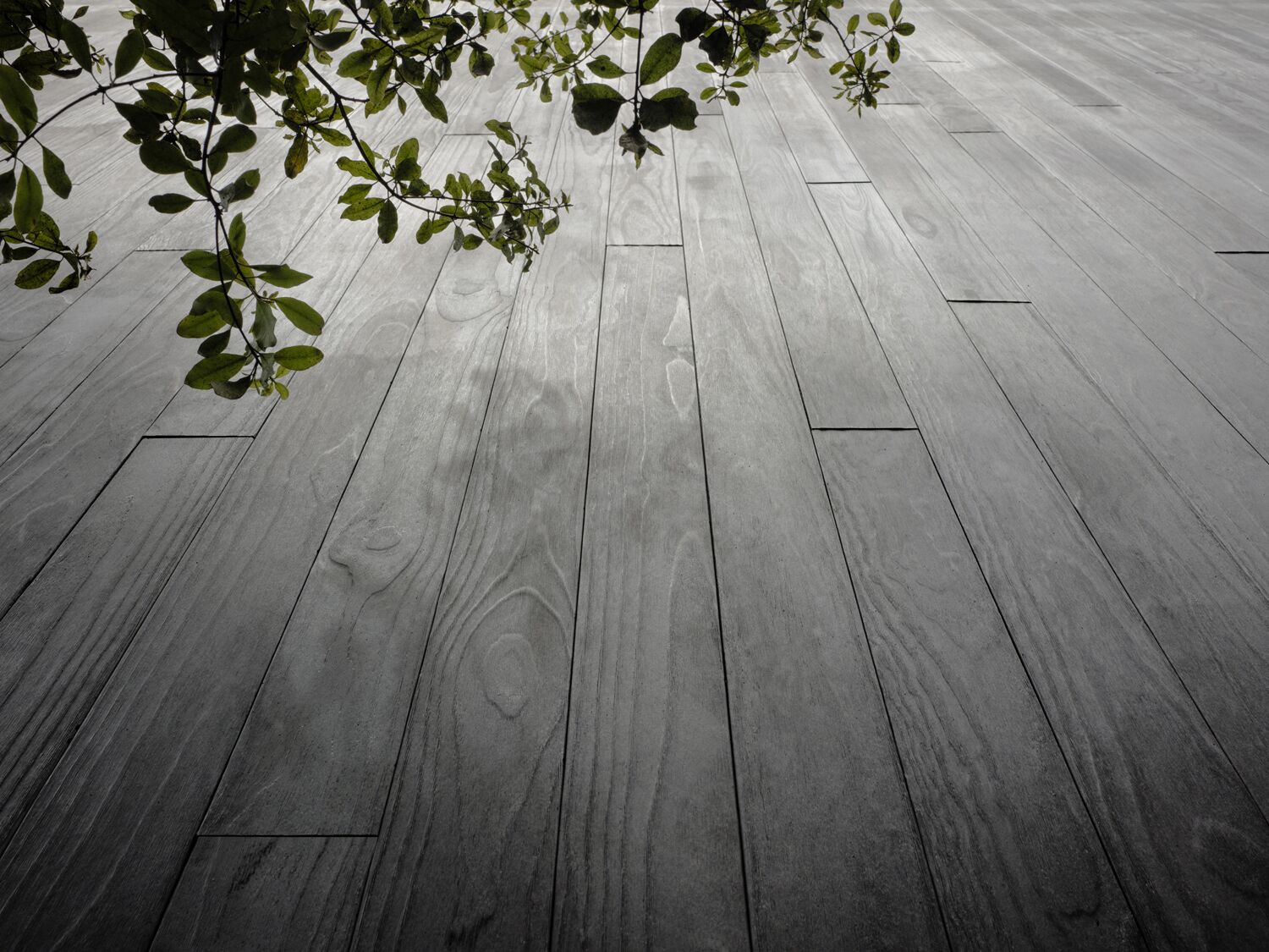 UP IN THE CLOUDS :: CUSTOM Shou Sugi Ban cladding, SNOHOMISH & LEWIS ...